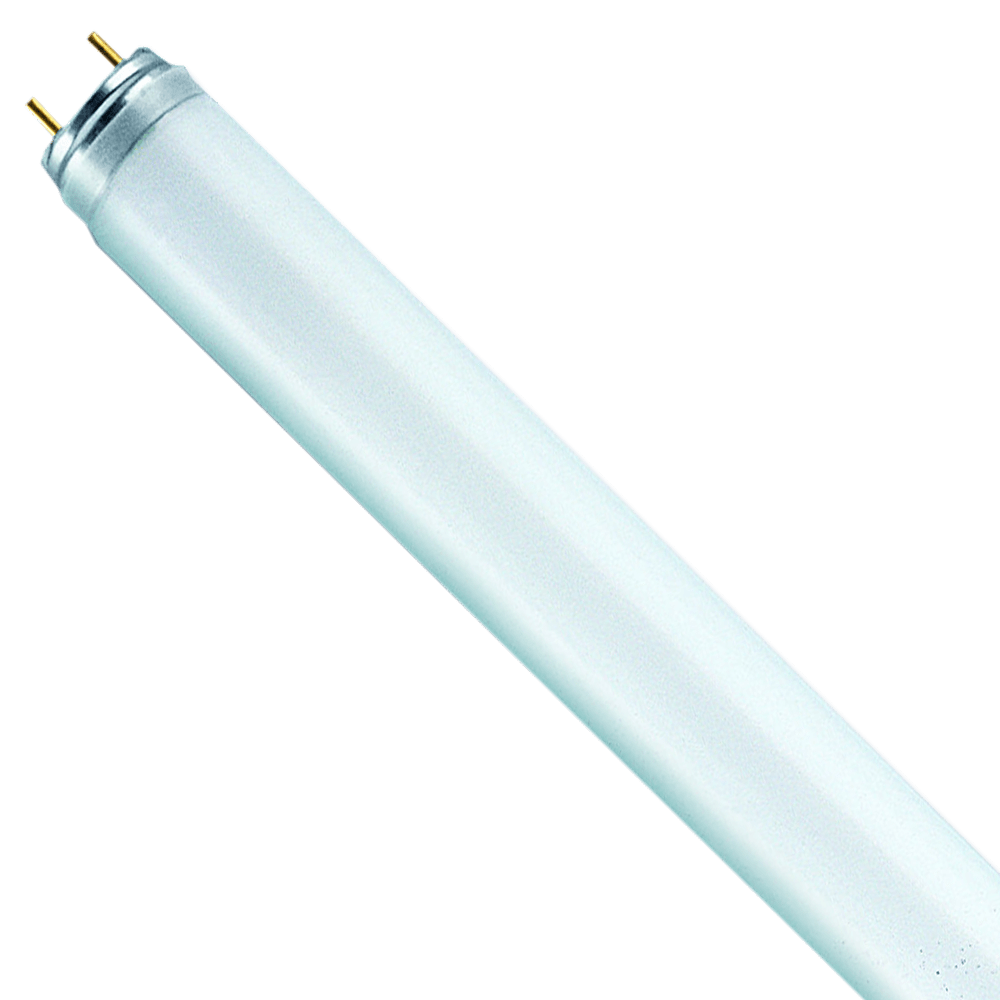 T8 Fluorescent Tube 30W 6500K HE G13 900mm | GMT Lighting