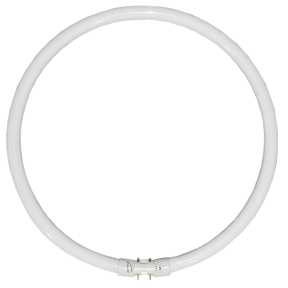 Philips Master TL5 Circular Fluorescent T5 55W 4000K 840 2GX13 4 Pins ...