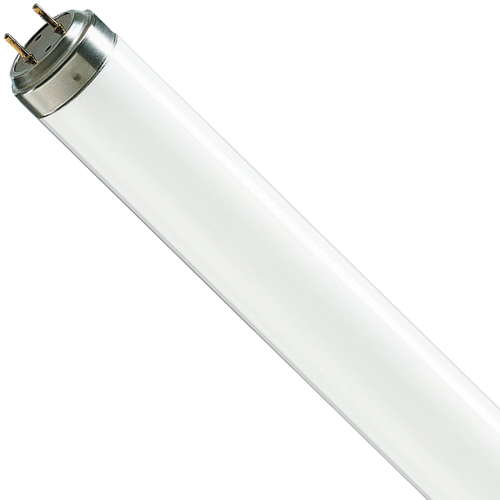 Blacklight Fluorescent Lamp T8 36W G13 1210mm | GMT Lighting